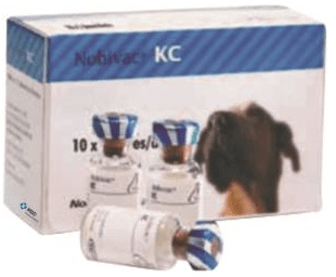 Nobivac® KC - MSD Animal Health India